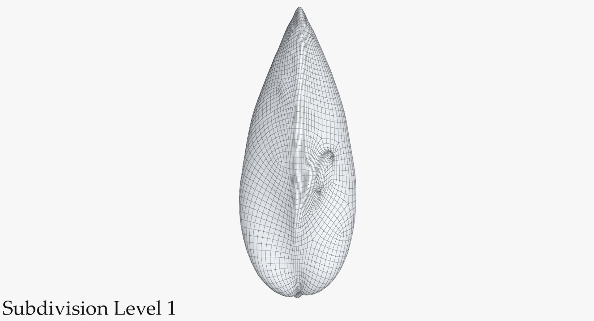 3D model mussel shell | 1143470 | TurboSquid