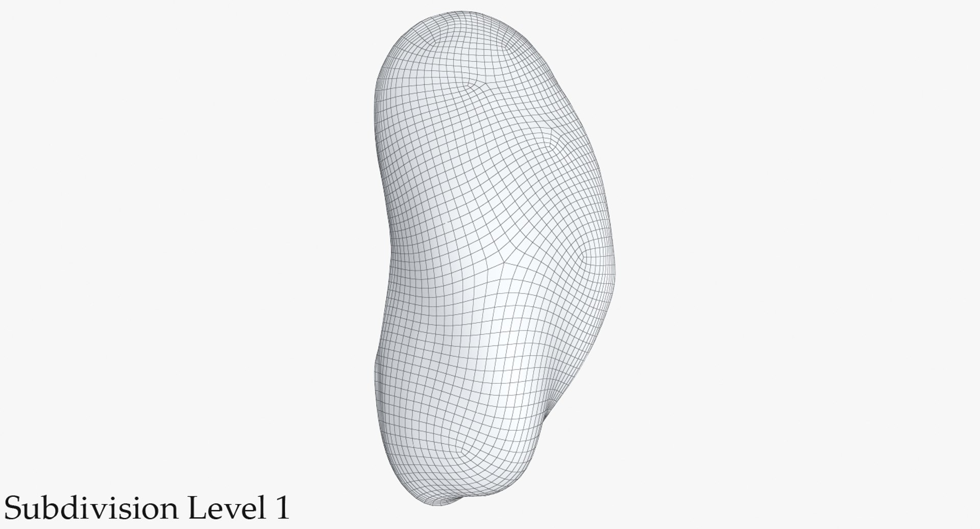 3D model mussel shell | 1143470 | TurboSquid