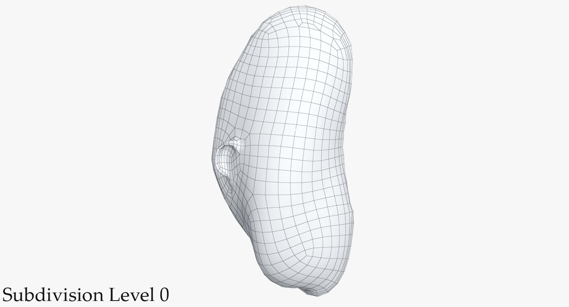 3D model mussel shell | 1143470 | TurboSquid