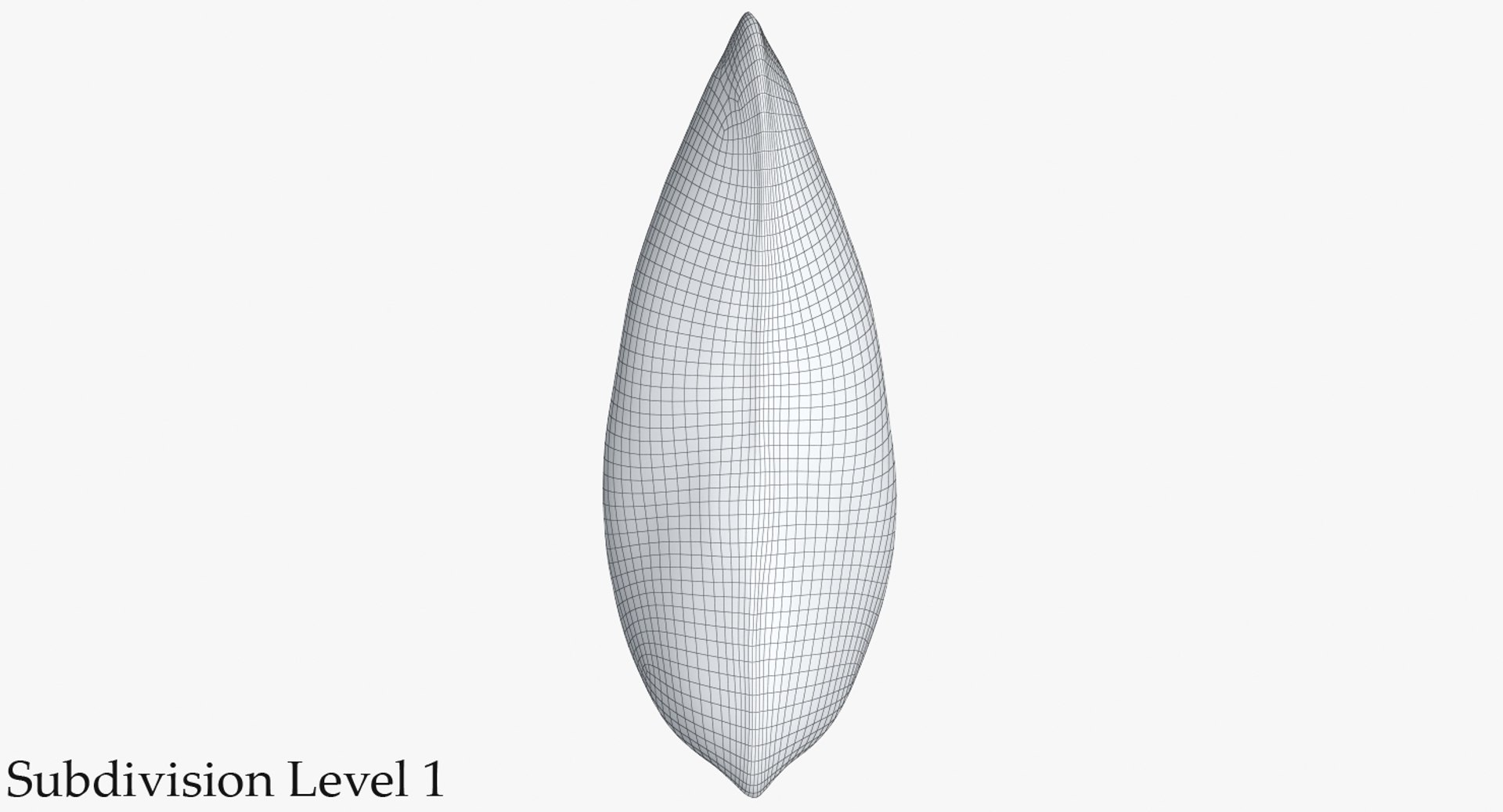 3D model mussel shell | 1143470 | TurboSquid