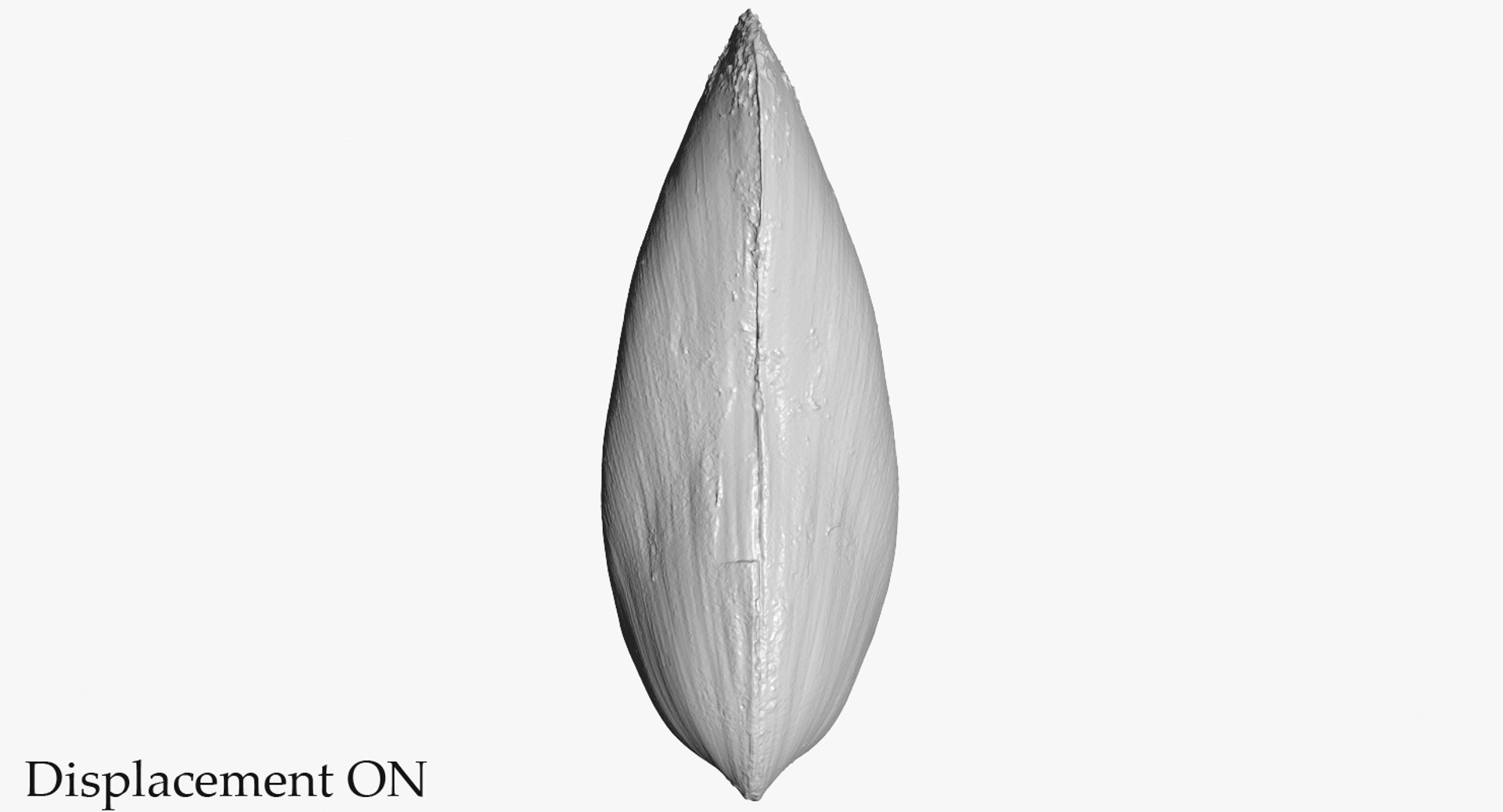 3D model mussel shell | 1143470 | TurboSquid