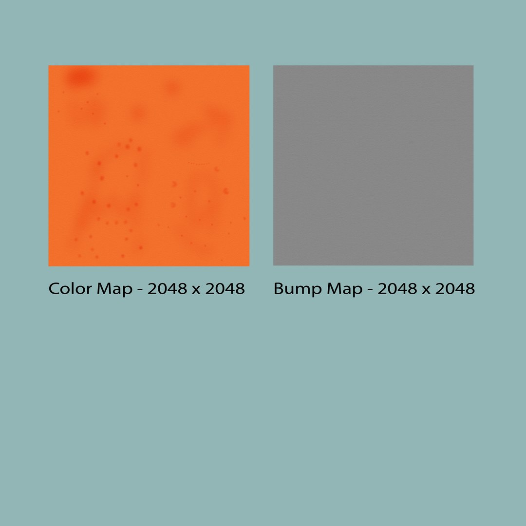 3d Obj Asconoid Sponge Anatomy