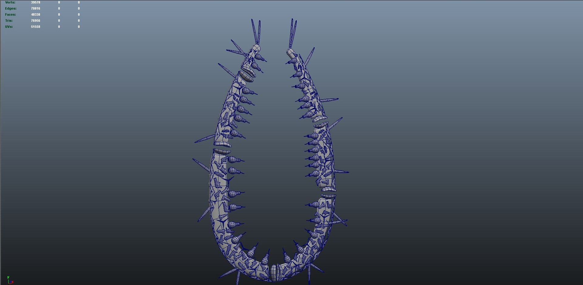 3d Obj Asconoid Sponge Anatomy