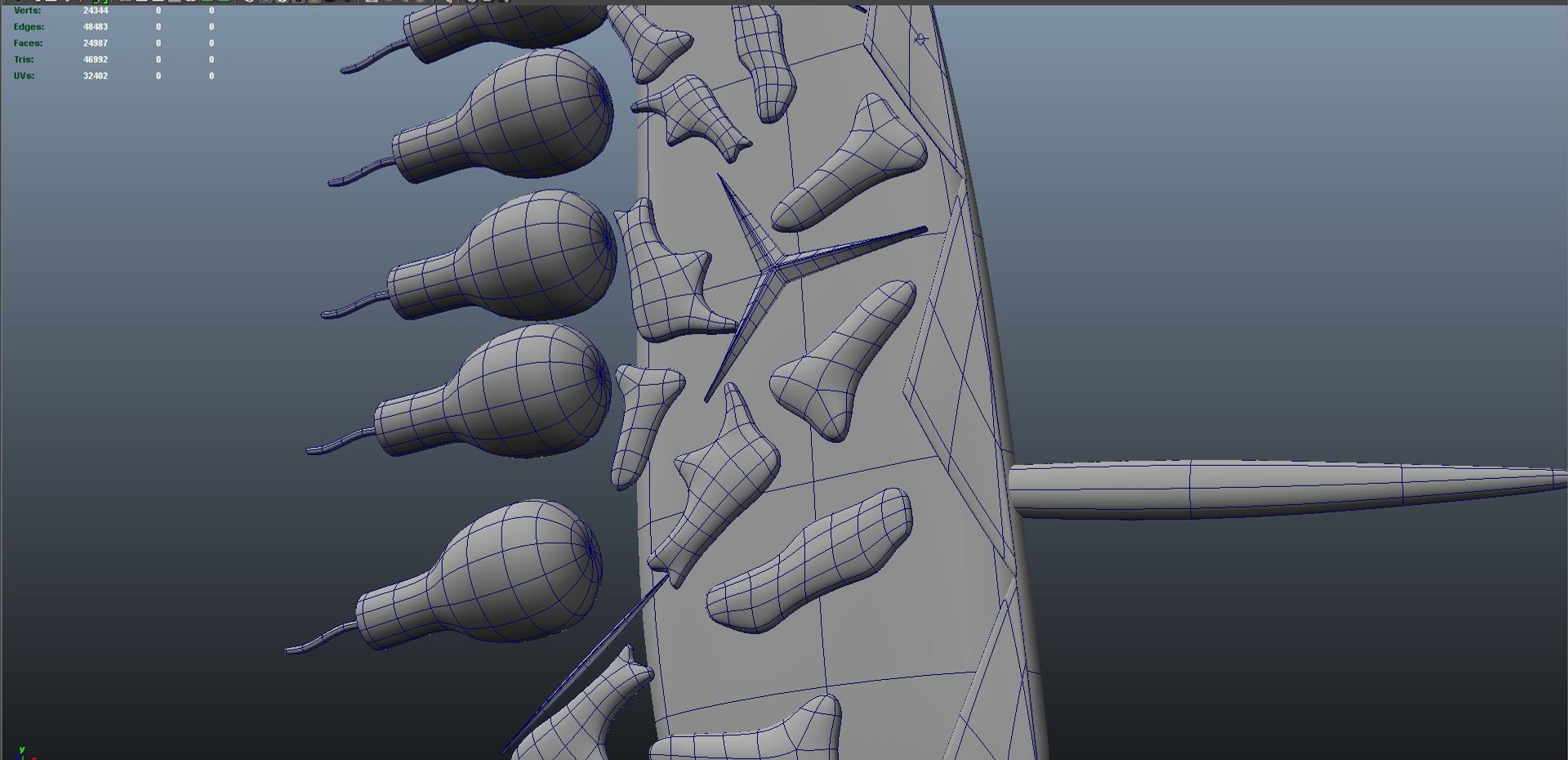 3d Obj Asconoid Sponge Anatomy