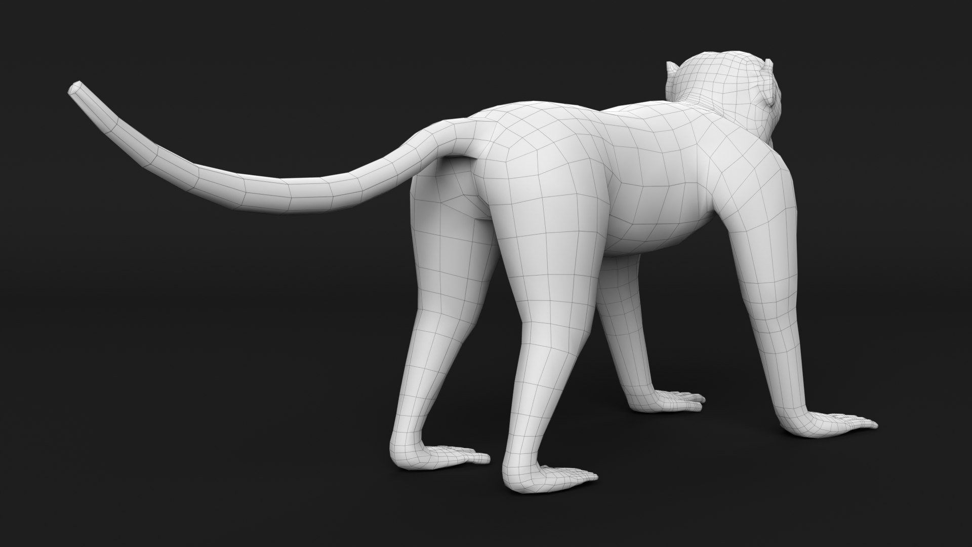 Small Monkey 3D Model - TurboSquid 2118871