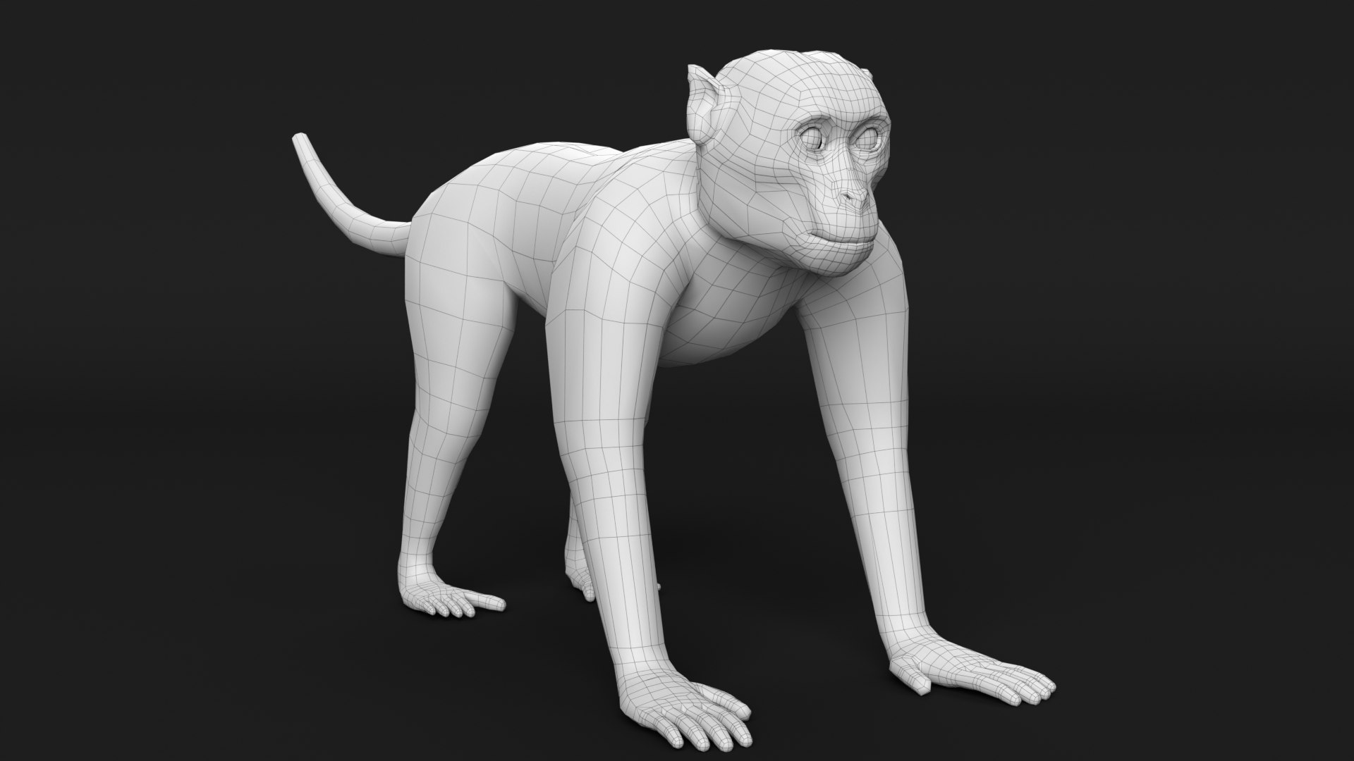 Small Monkey 3D Model - TurboSquid 2118871