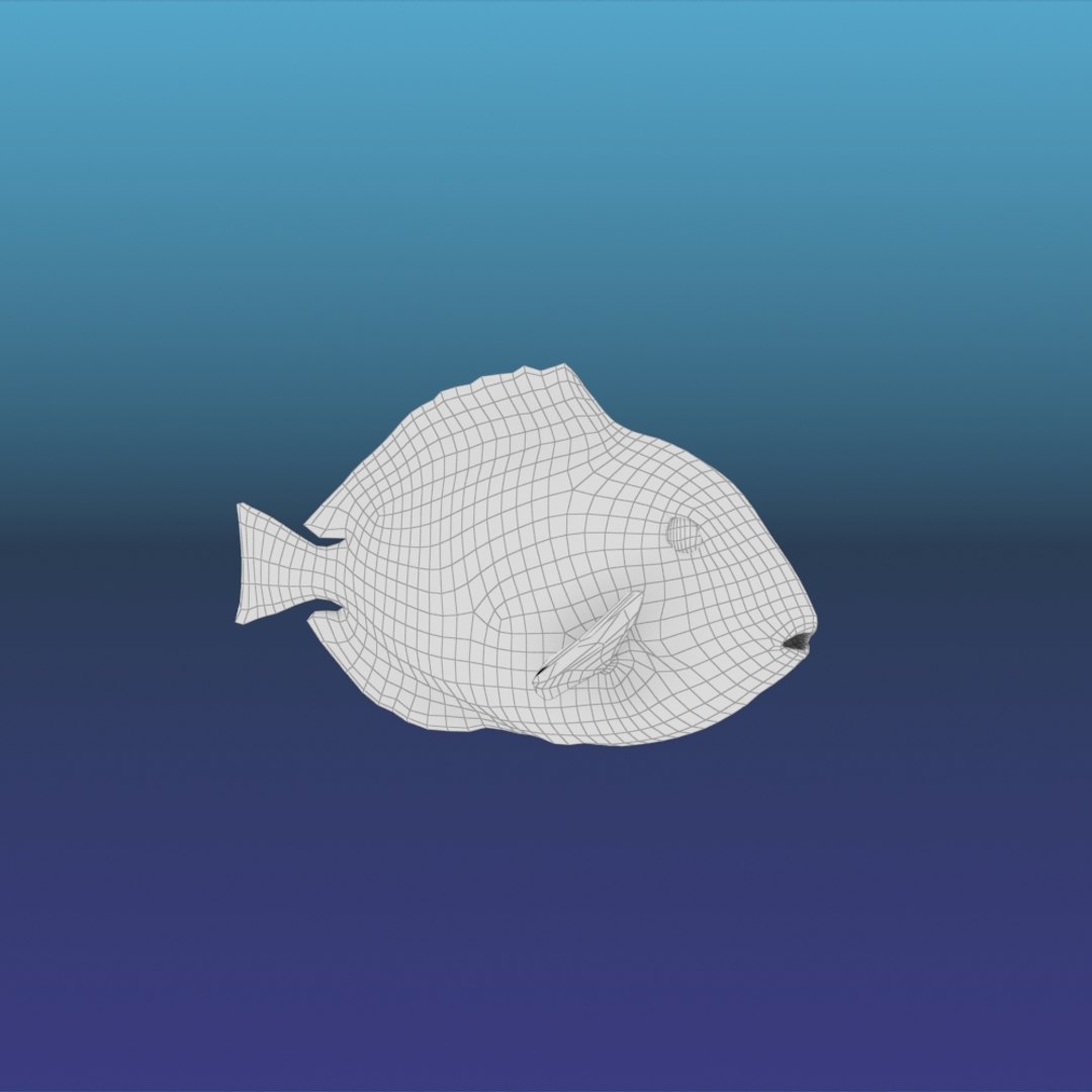 Blue Tang Fish 3d Max