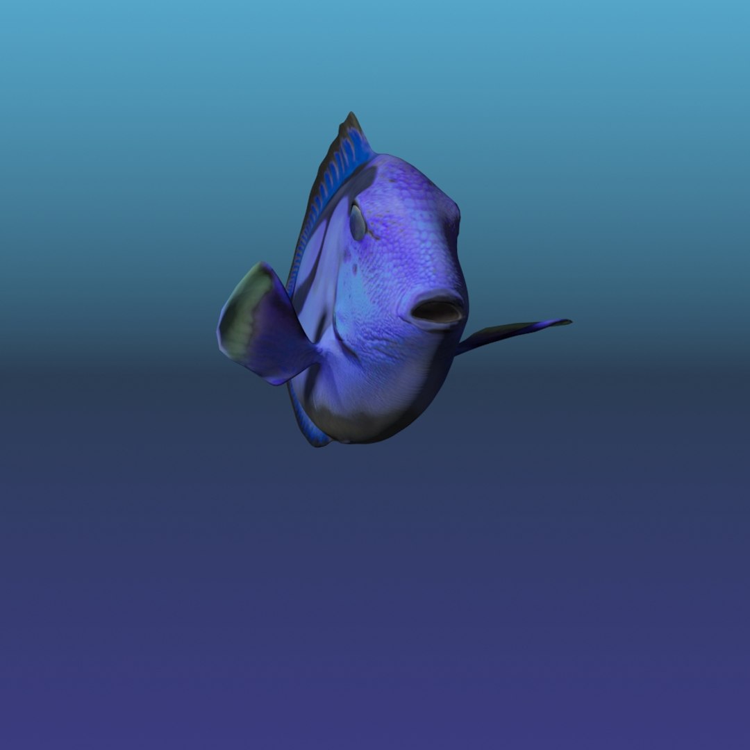 Blue Tang Fish 3d Max