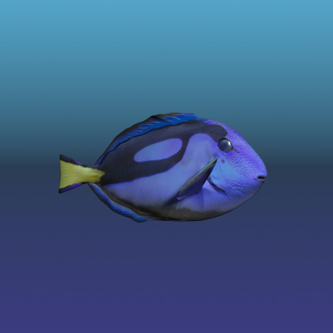 Blue Tang Fish 3d Max