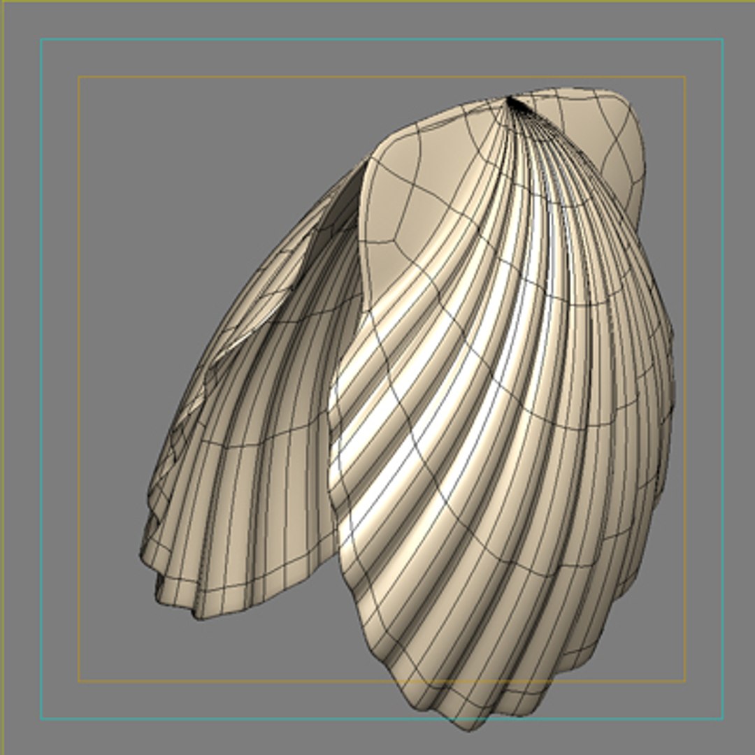 Maya Shell