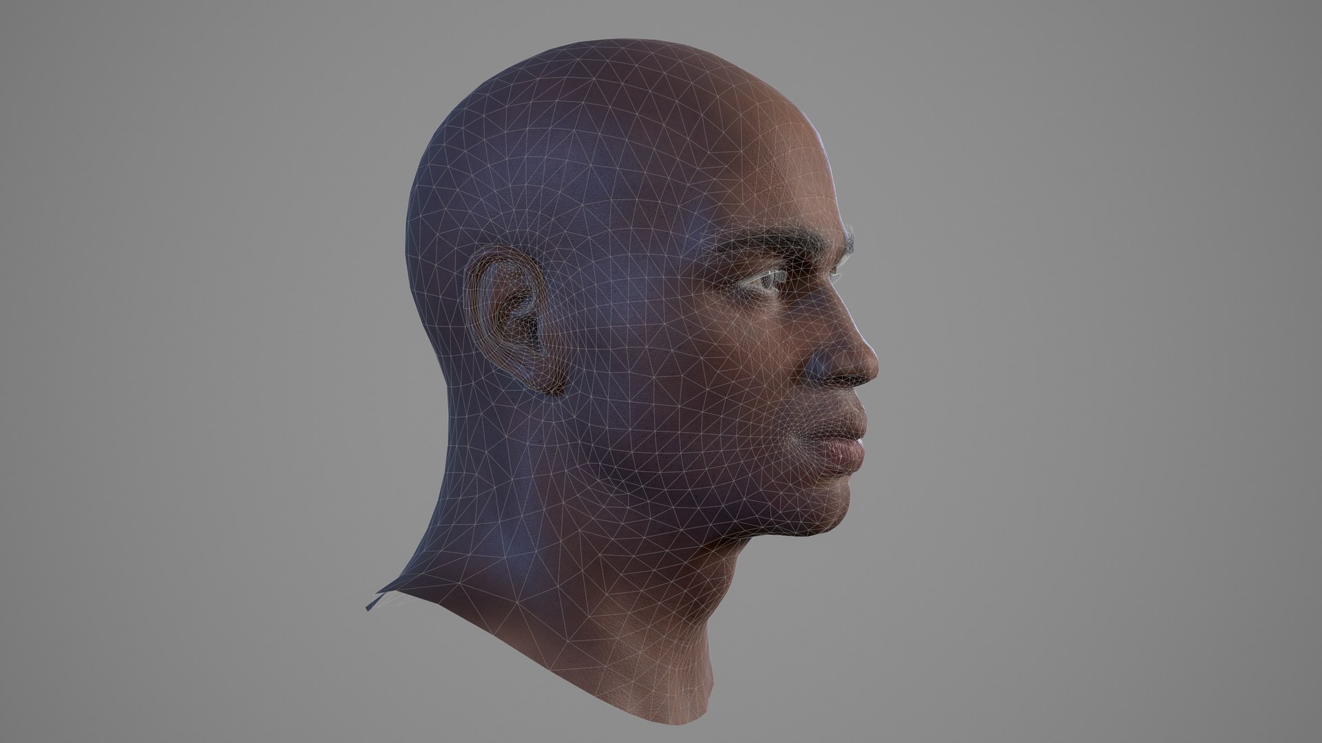 3D Head Pack - 01 - TurboSquid 1777295