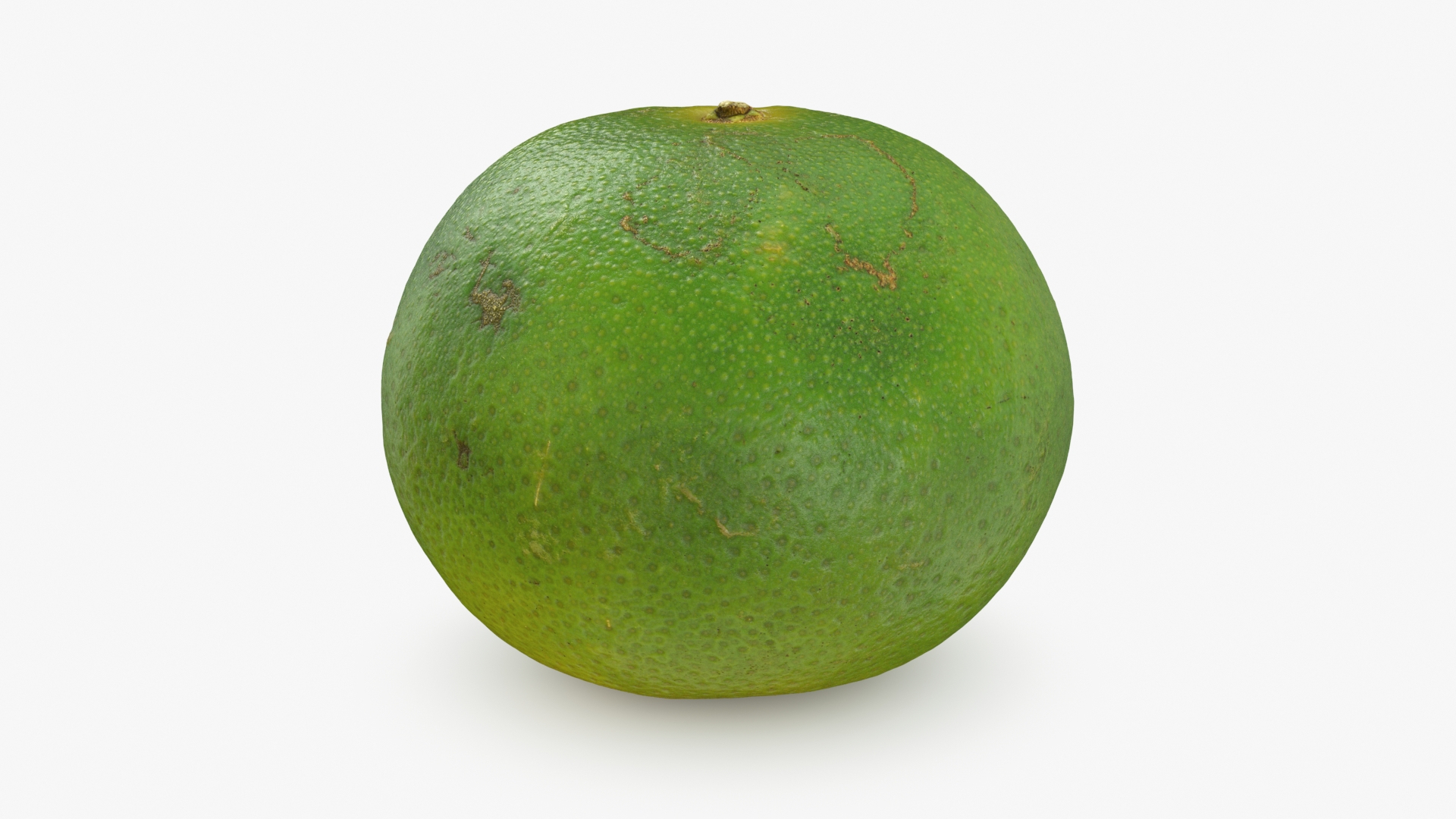 3D Green Mandarin Collection 2 Model - TurboSquid 2252787