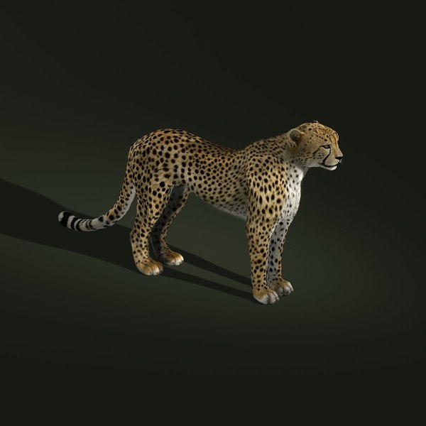3d model cheetah fur
