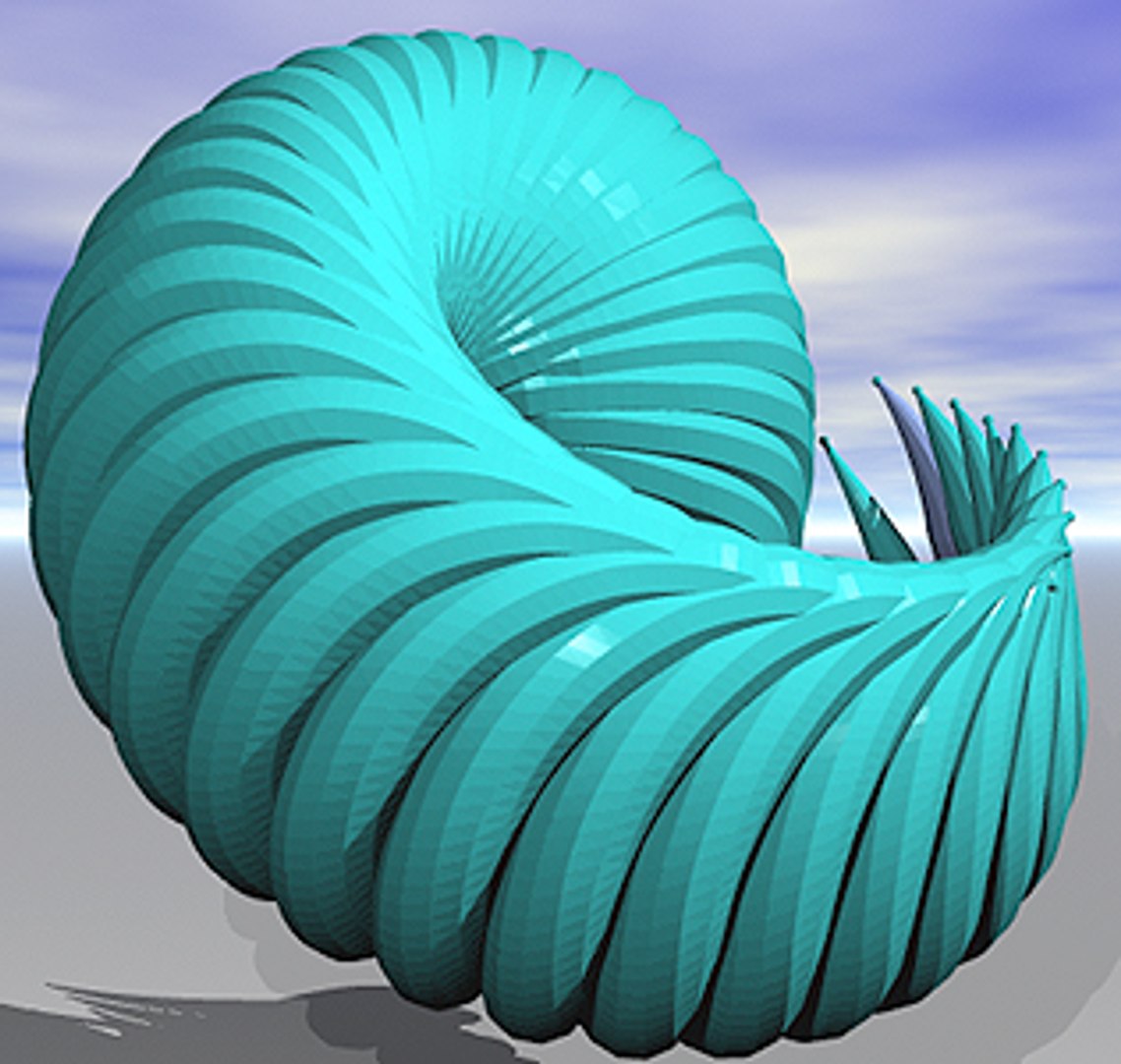 3d Seashell Groboto Model