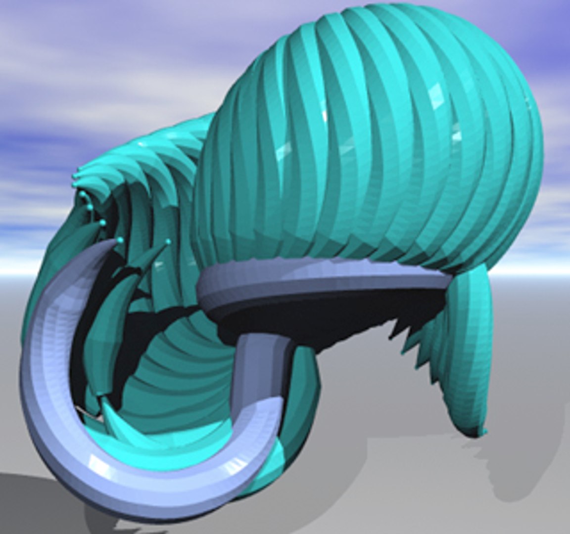 3d Seashell Groboto Model