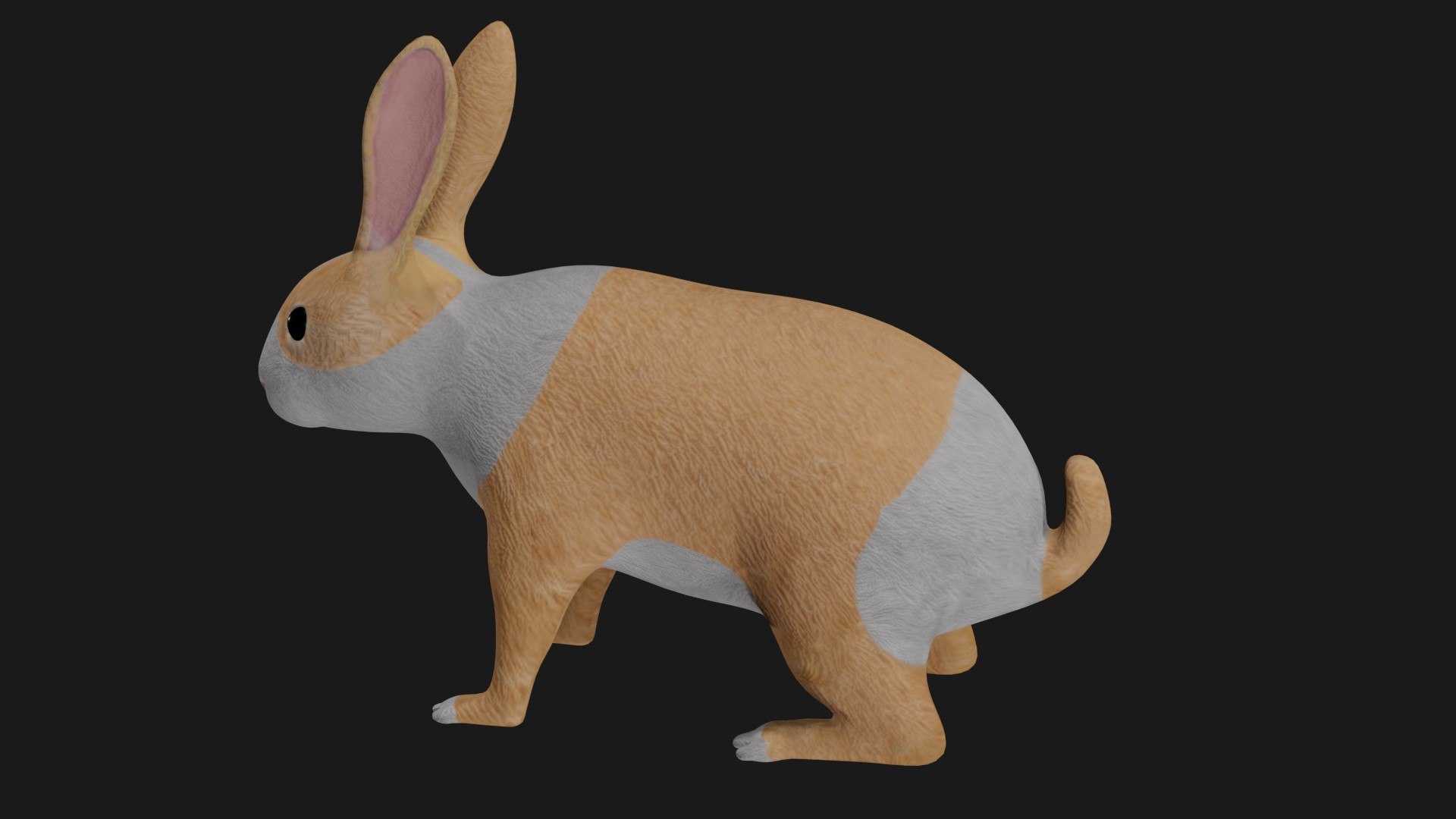 Realistic Rigged Rabbit 3D - TurboSquid 1669731