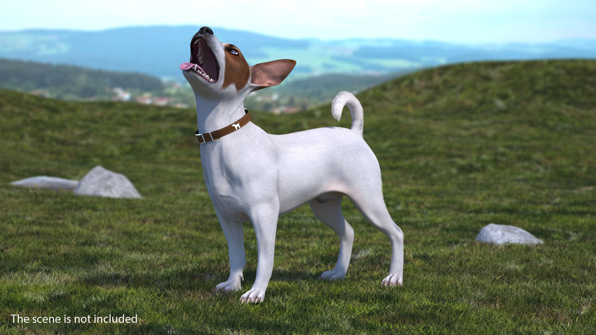 3D dogs rigged 2 model - TurboSquid 1691137
