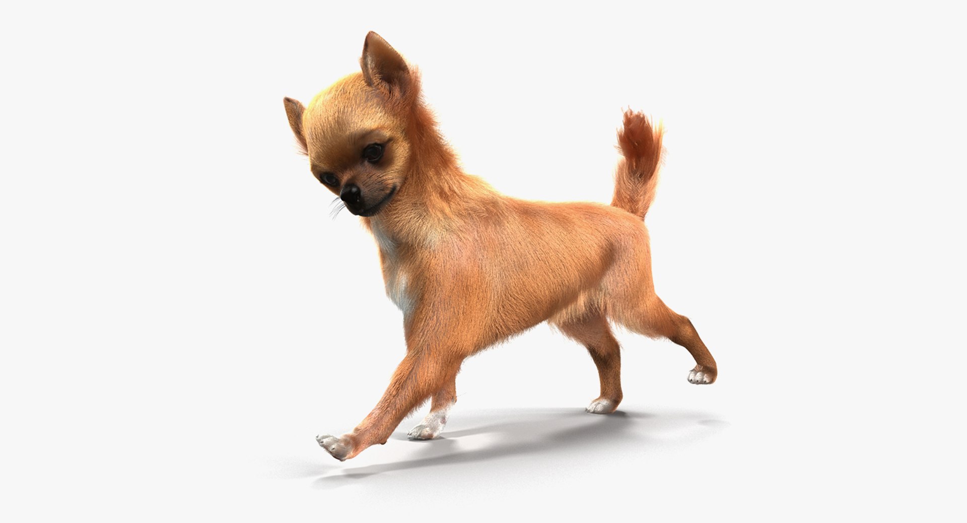 3D dogs rigged 2 model - TurboSquid 1691137