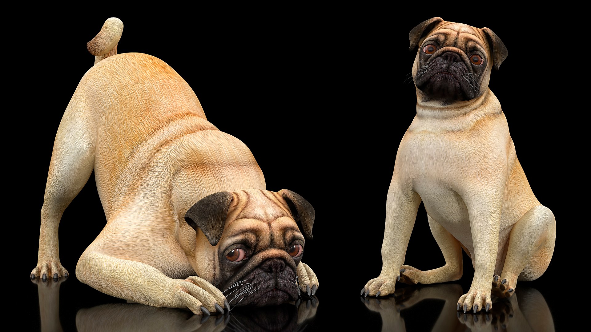 3D dogs rigged 2 model - TurboSquid 1691137