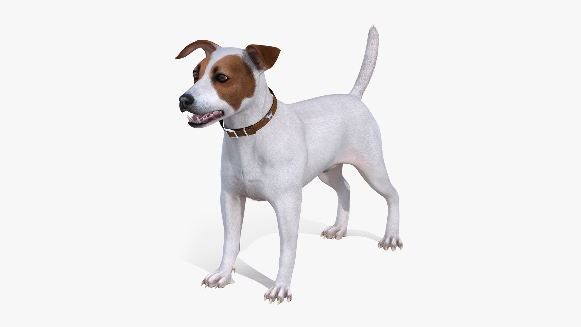 3D dogs rigged 2 model - TurboSquid 1691137
