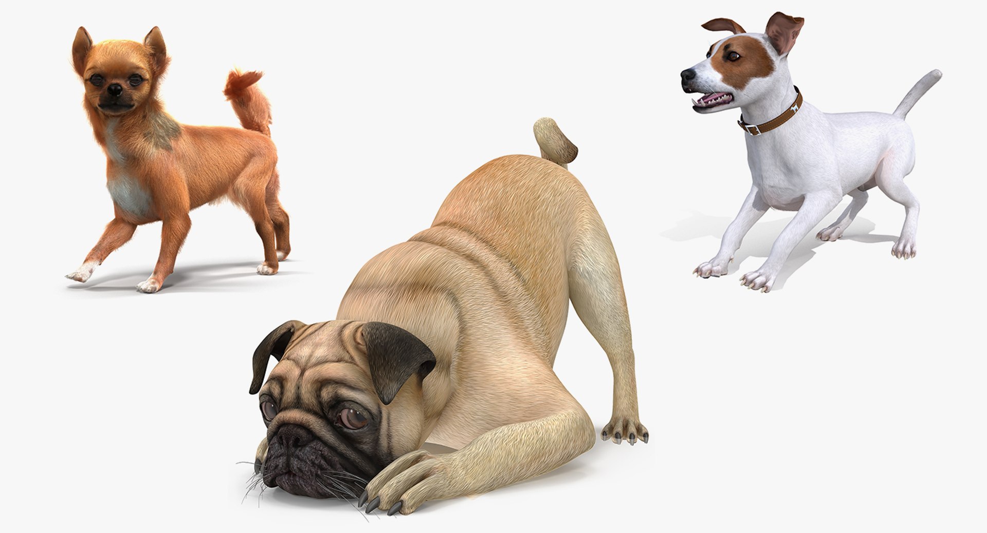 3D dogs rigged 2 model - TurboSquid 1691137