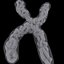 3d Model Chromosome Science Medical