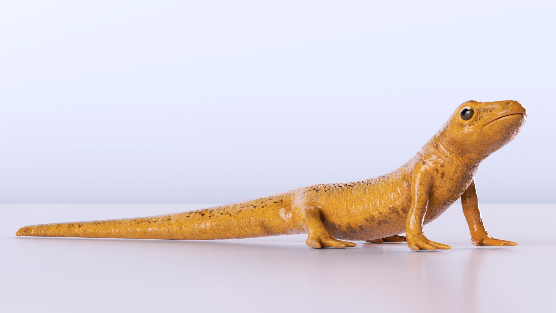 3D Common Newt Standing Pose - TurboSquid 2141159