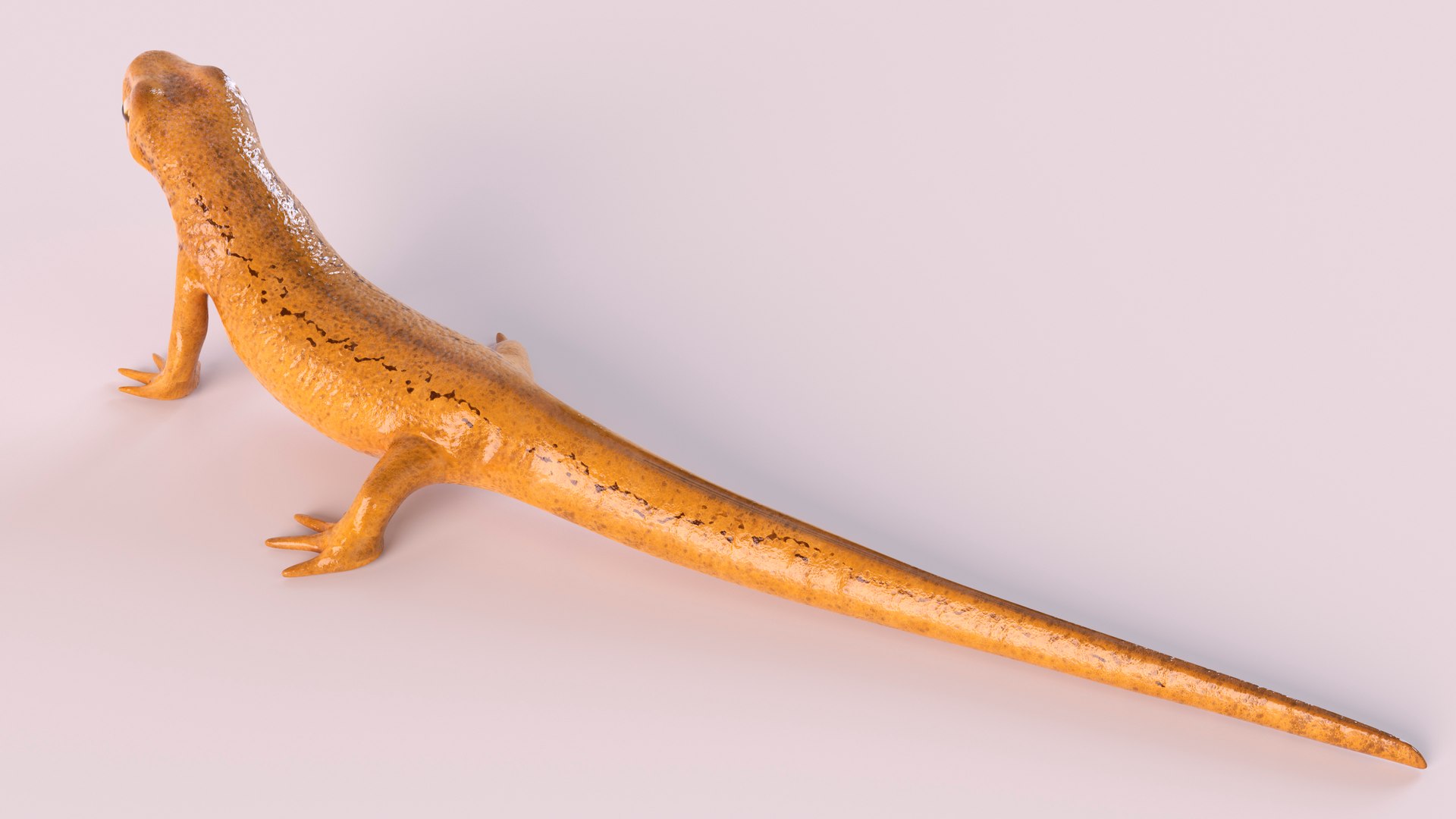 3D Common Newt Standing Pose - TurboSquid 2141159