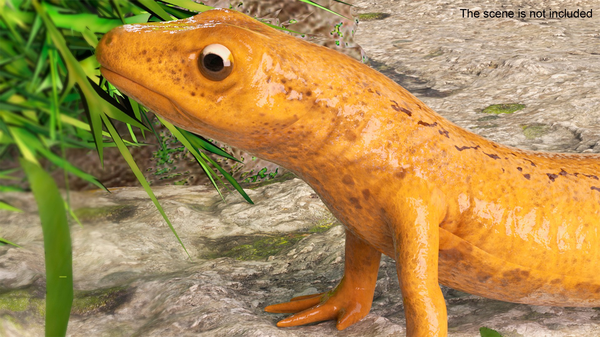 3D Common Newt Standing Pose - TurboSquid 2141159