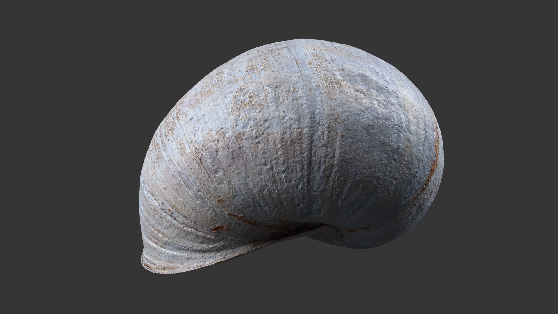 Snail Shell 3D - TurboSquid 2075136