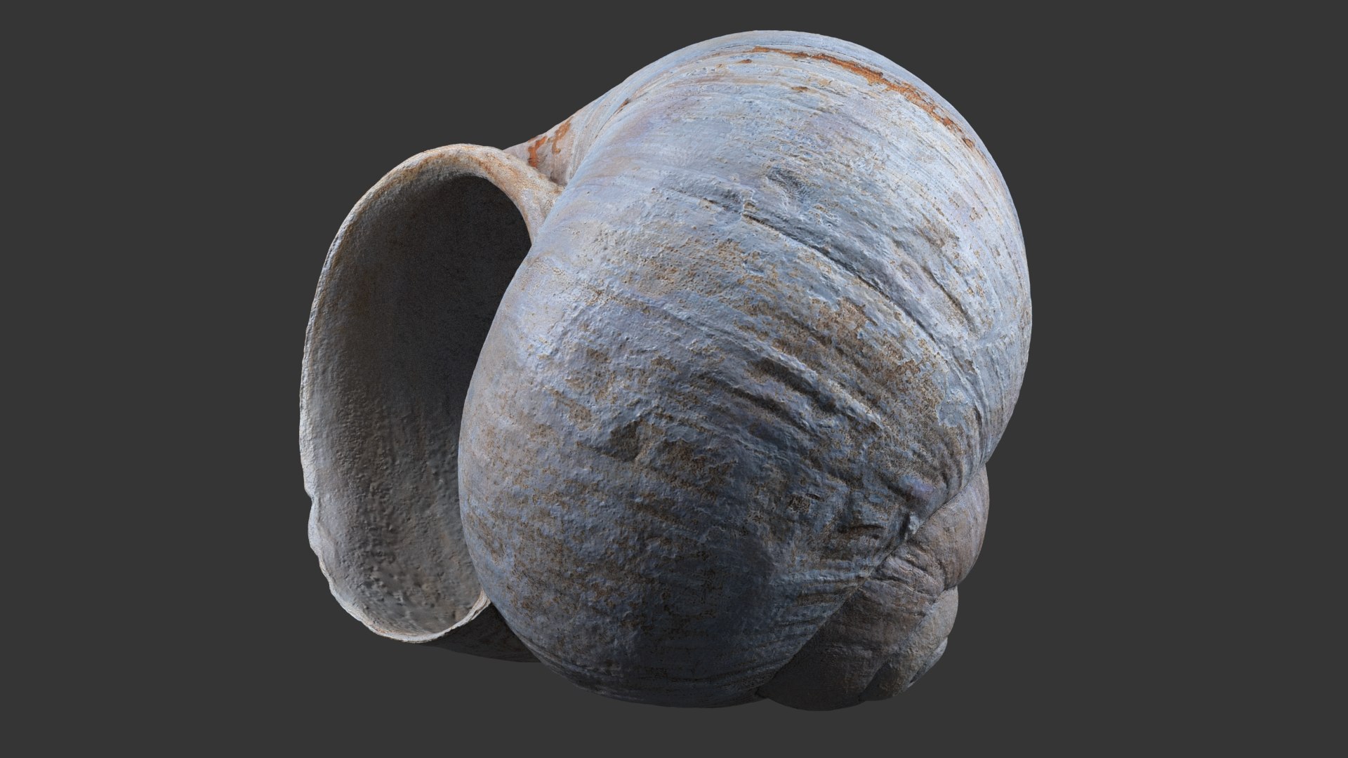 Snail Shell 3D - TurboSquid 2075136