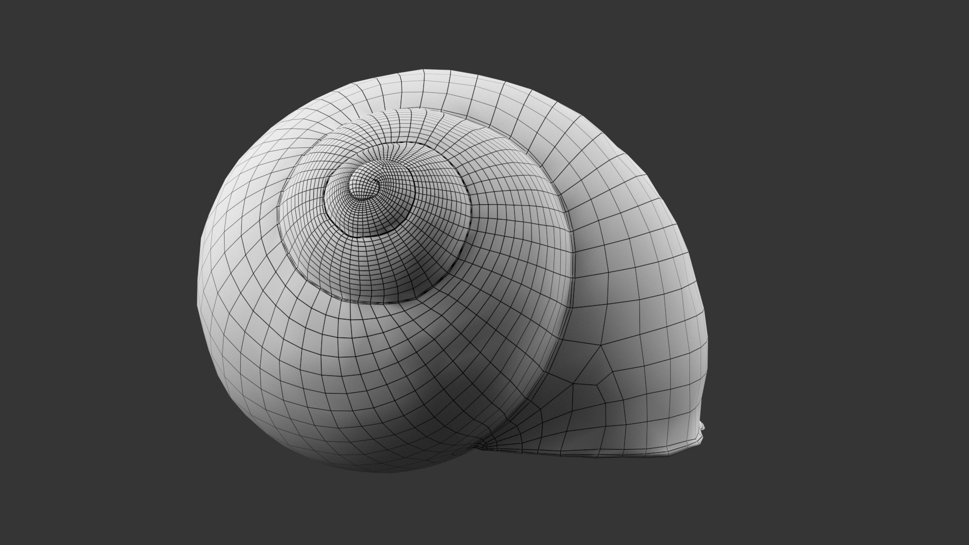 Snail Shell 3D - TurboSquid 2075136
