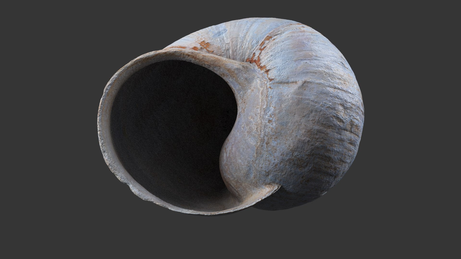 Snail Shell 3D - TurboSquid 2075136
