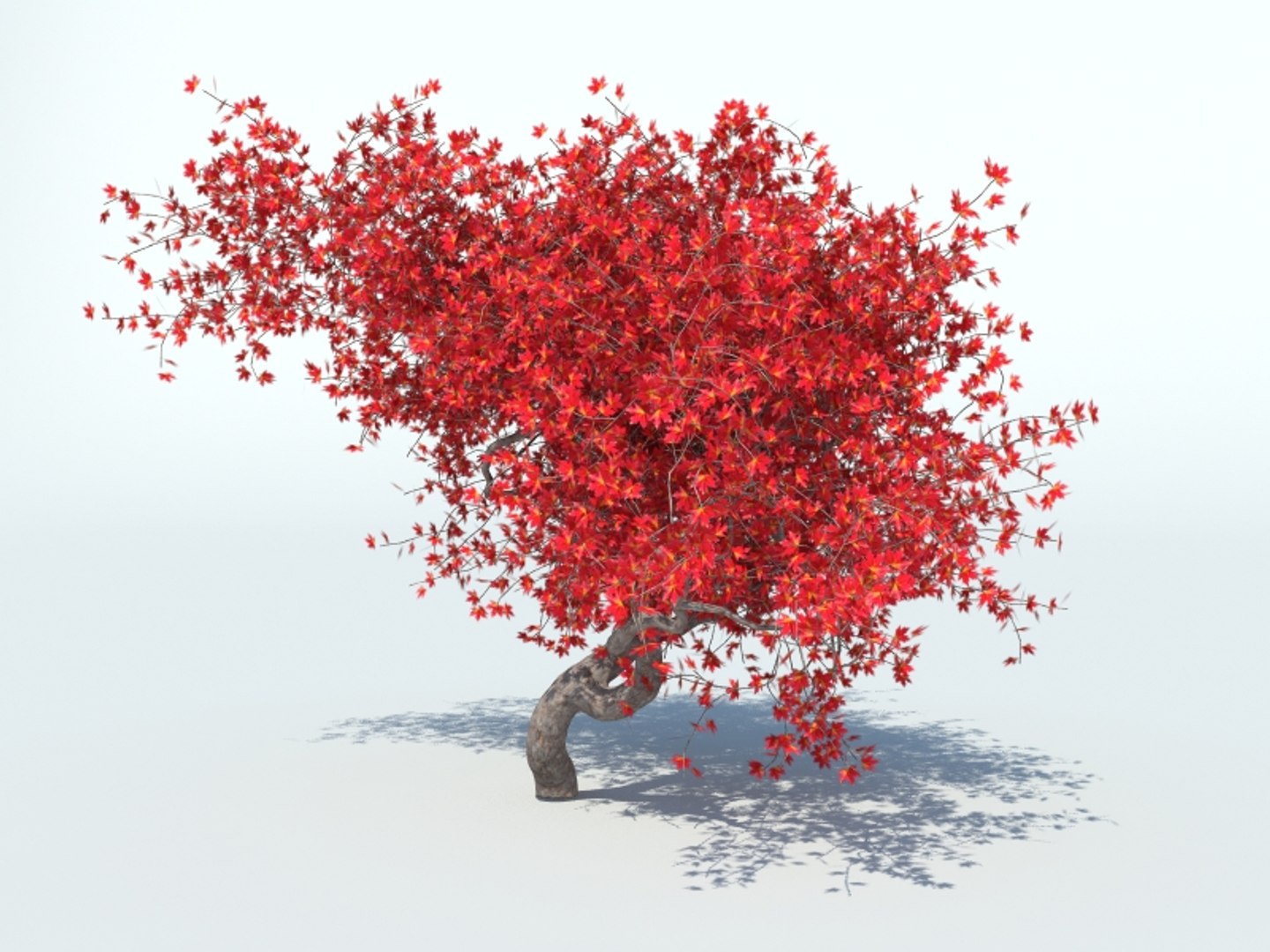 Realistic Maple Tree Max