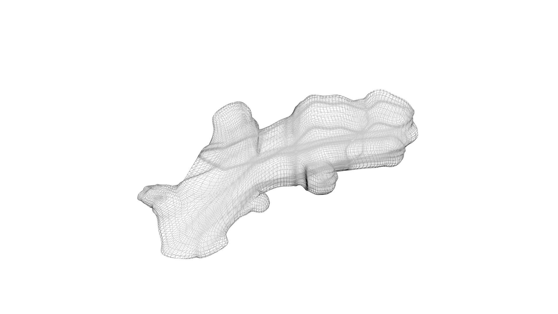 Ginger 3D Model - TurboSquid 1853506