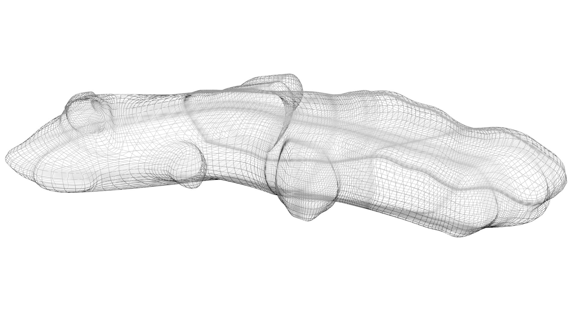 Ginger 3D Model - TurboSquid 1853506