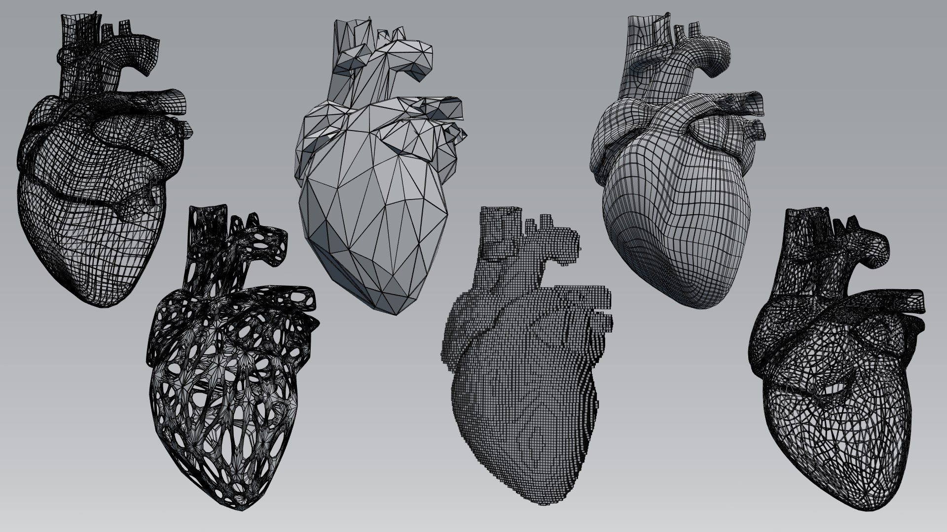 Human Heart Model - TurboSquid 1602559
