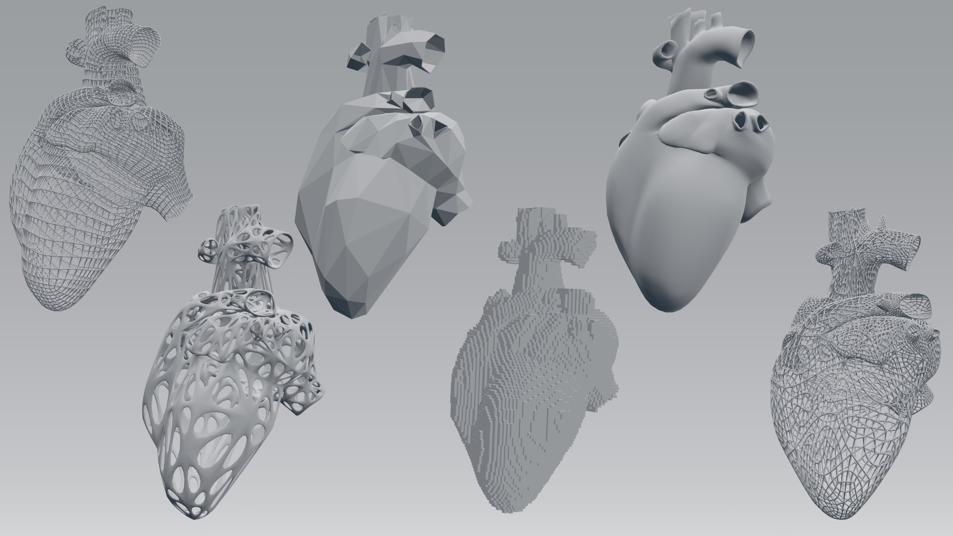 Human Heart Model - TurboSquid 1602559