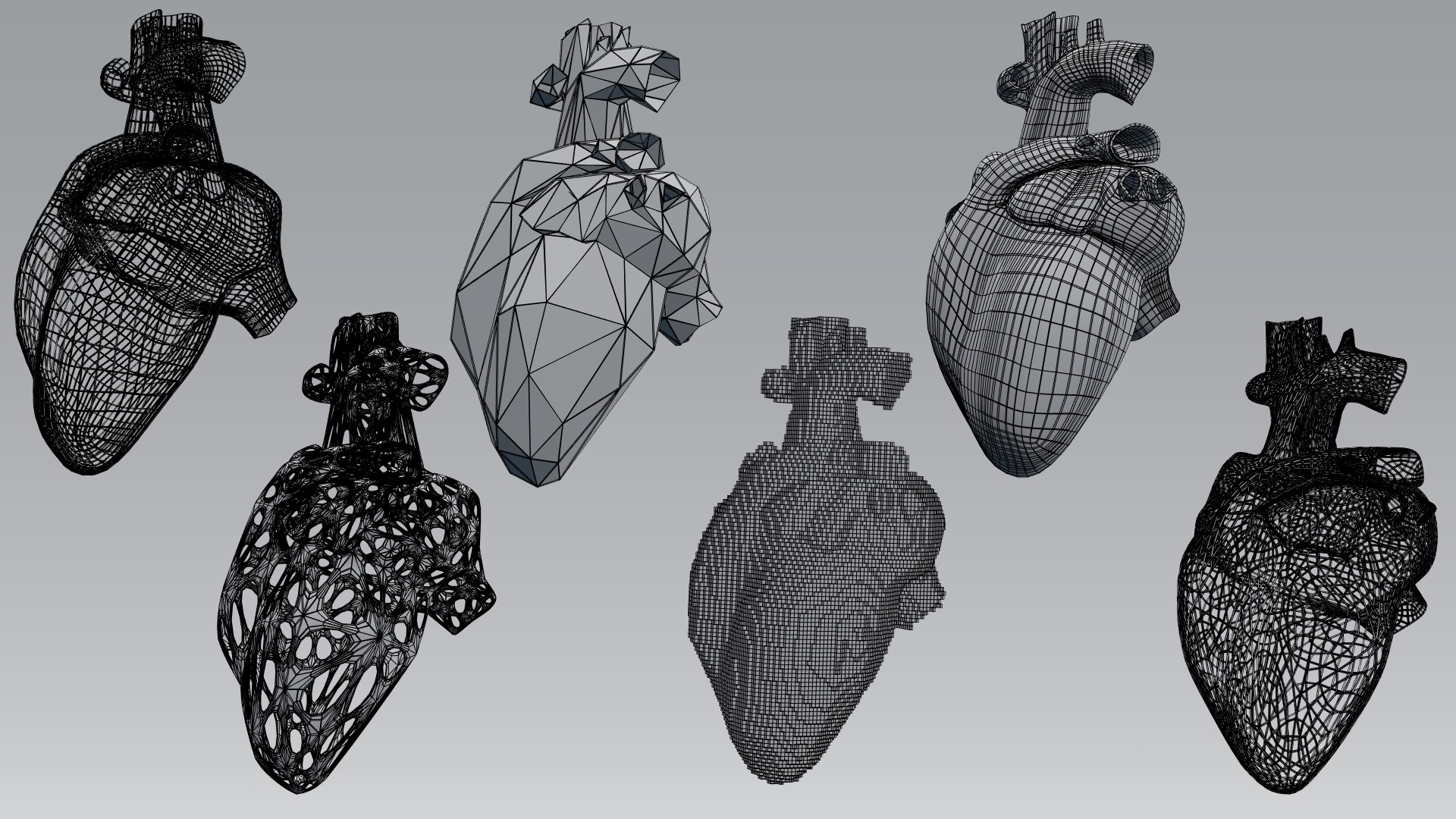 Human Heart Model - TurboSquid 1602559