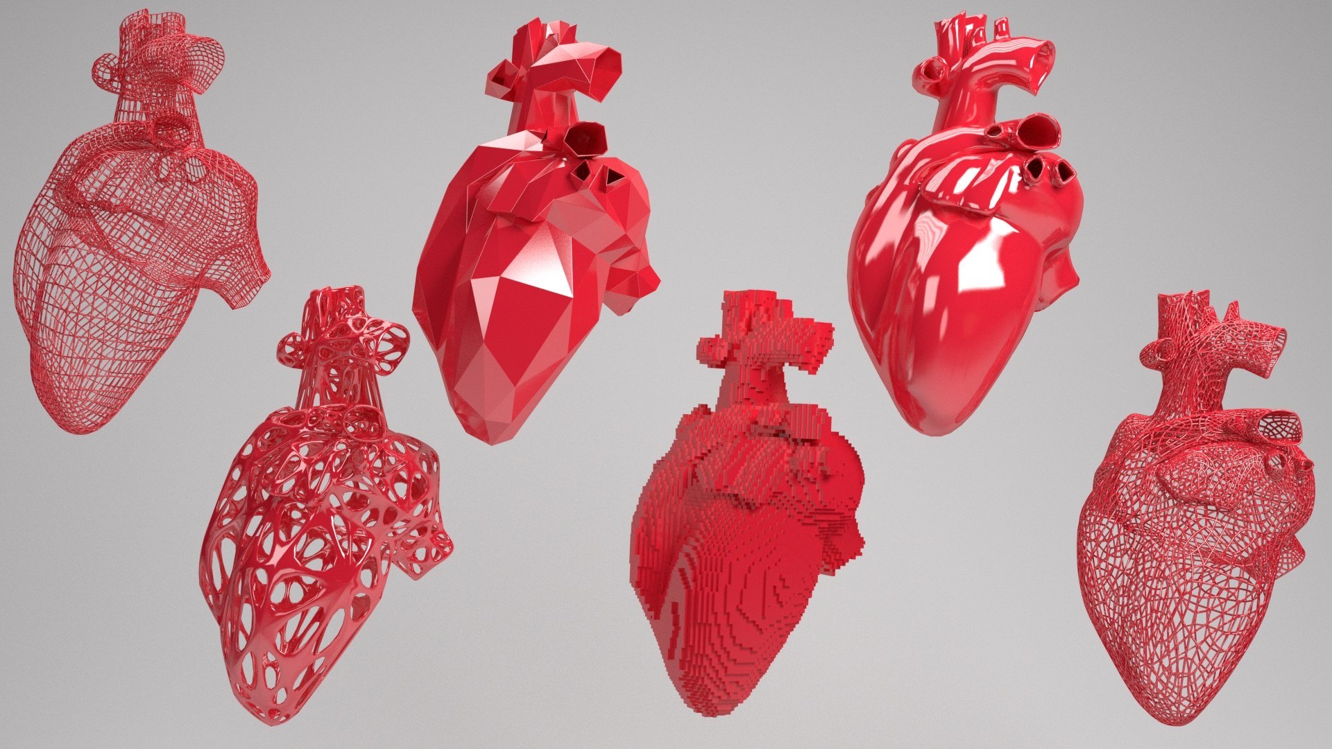 Human Heart Model - TurboSquid 1602559