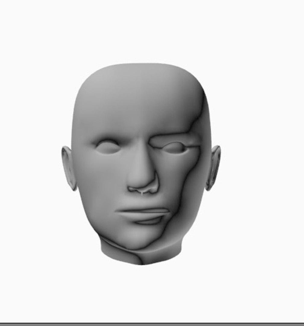 3d man face model