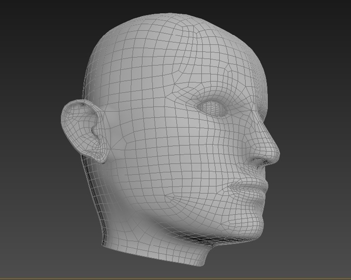3d man face model