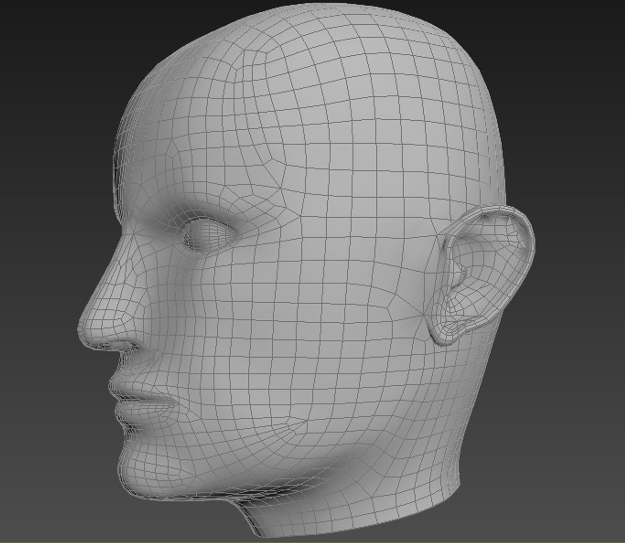3d man face model