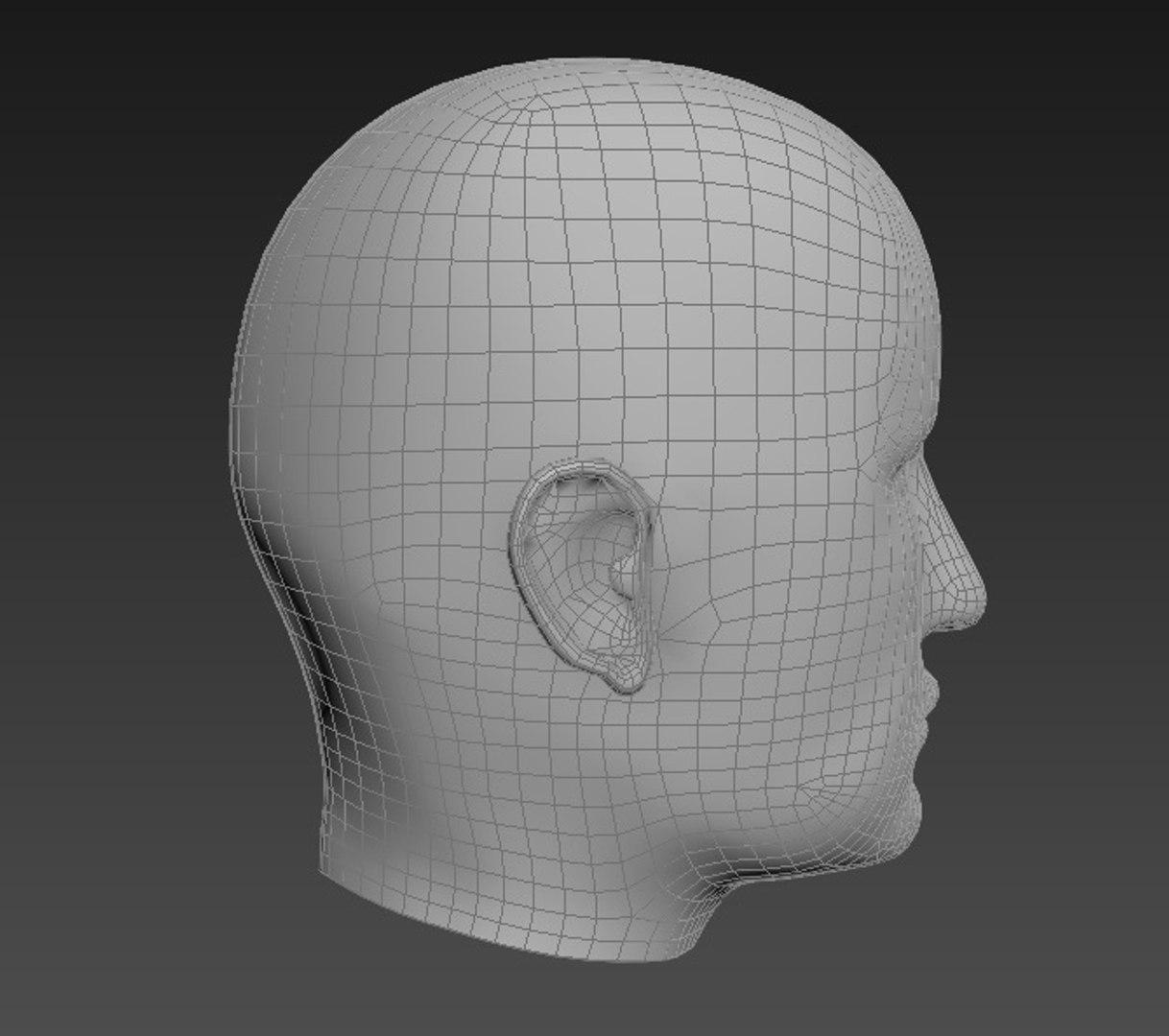 3d man face model