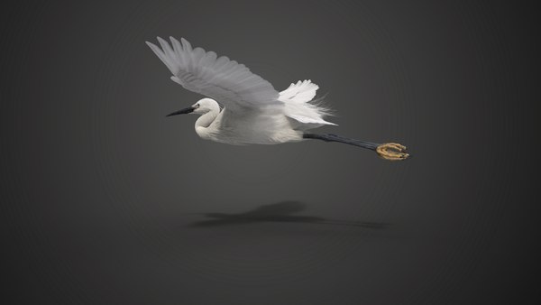 3D Egret Animated model - TurboSquid 1956402