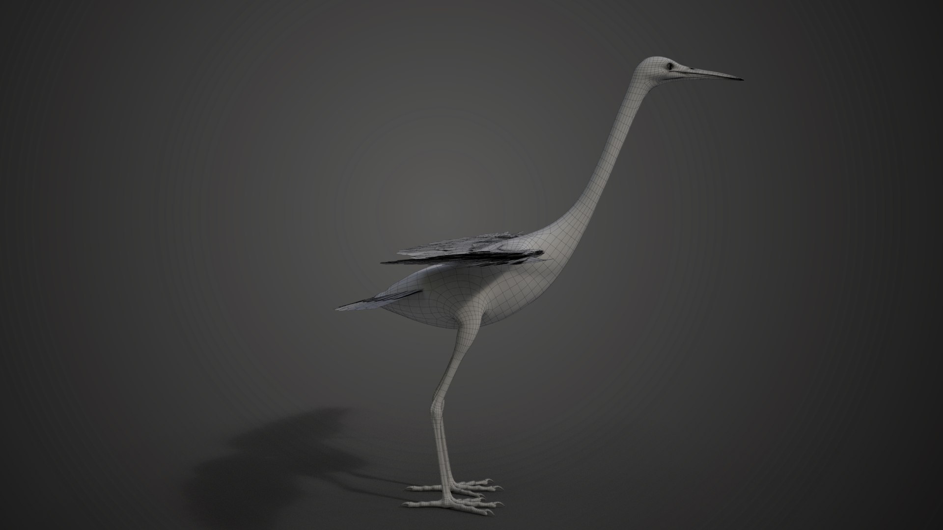 3D Egret Animated model - TurboSquid 1956402