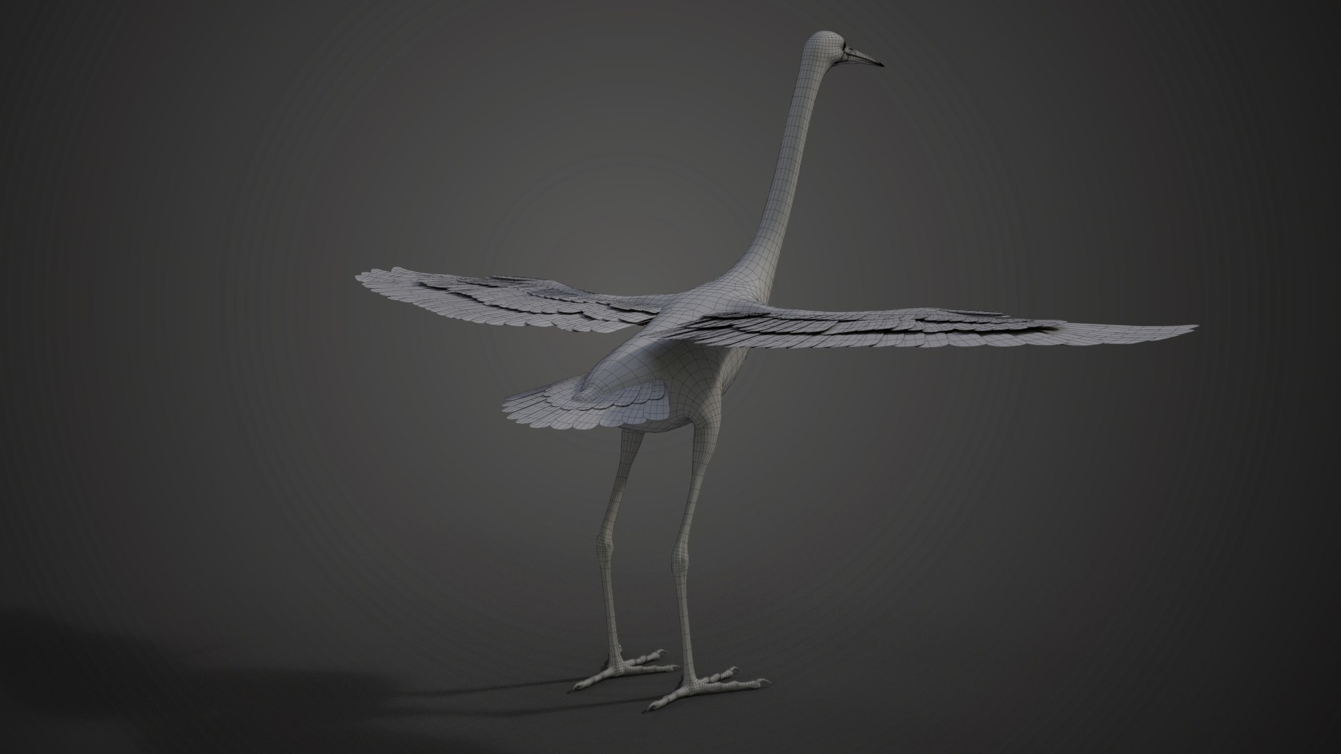 3D Egret Animated model - TurboSquid 1956402