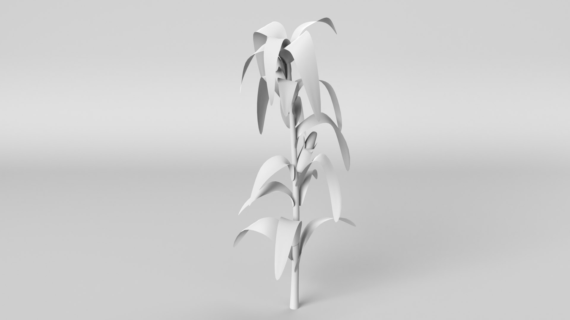 Corn Stalk 3D Model - TurboSquid 1677314