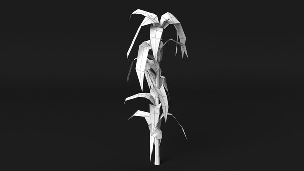 Corn stalk 3D model - TurboSquid 1677314
