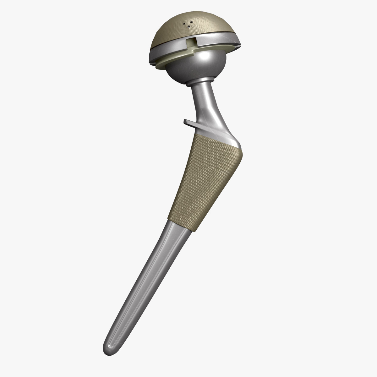 max femoral prosthesis